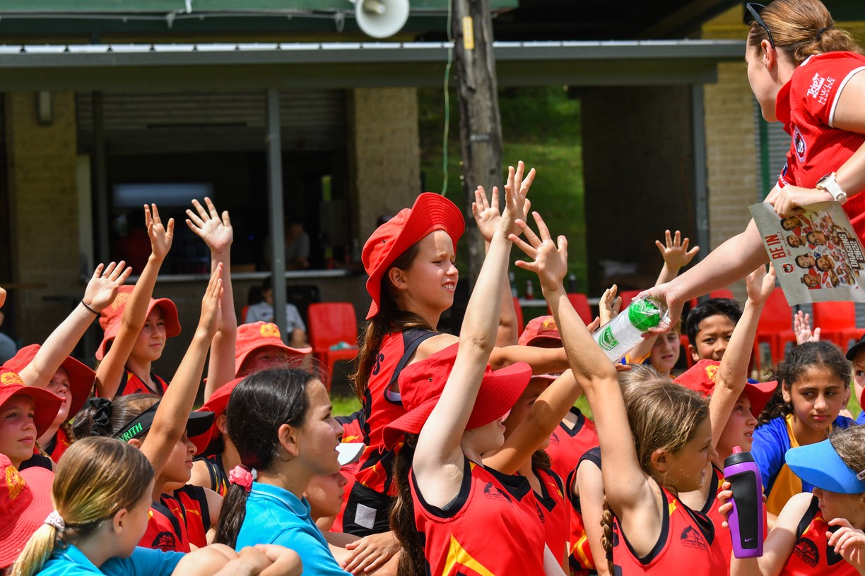 Dragons community Dragon tag gala day | Dragons