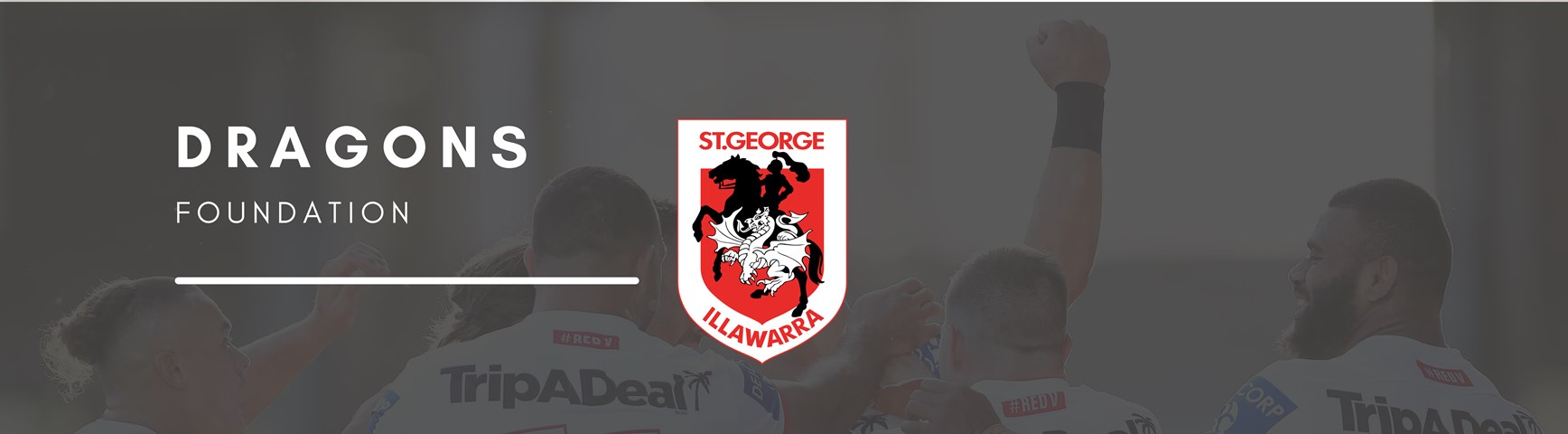 Dragons Foundation | Dragons