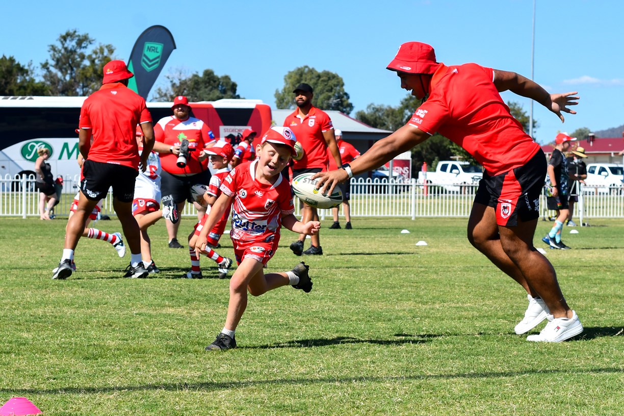 Gallery: Dragons out and about in Mudgee | Dragons