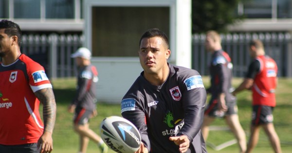 Harrison: Looking Forward To The Reception | Dragons